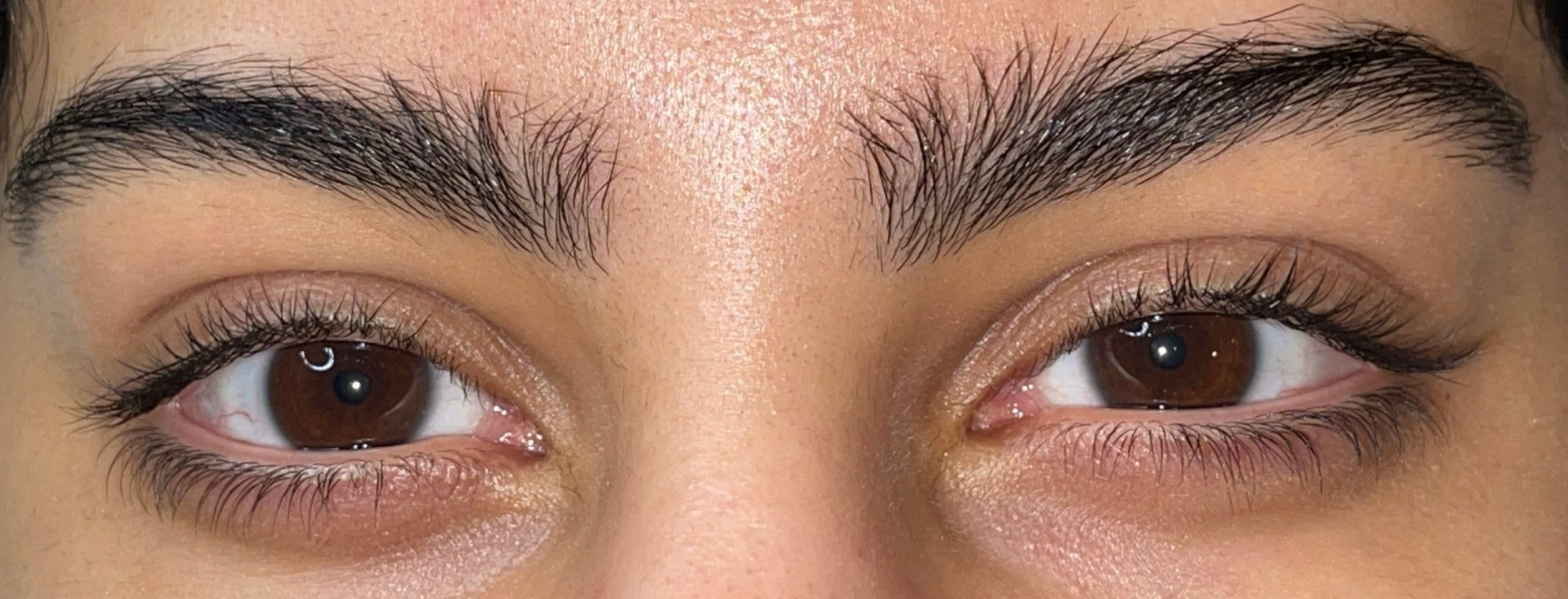 Lash Lift Treatment – EMJ Beauty Center